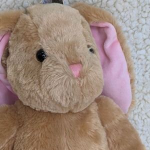 Build-A-Bear | Toys | Build A Bear Bunny Rabbit Stuffed Animal Pawlette ...